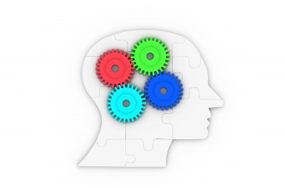 REGULAR EXERCISE IS THE EQUIVALENT OF “MIRACLE GRO” ™ FOR YOUR BRAIN ...